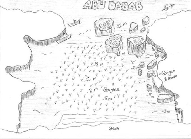 Divesites : Abu Dabbab