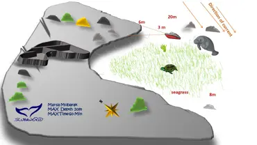 Dive Marsa Shouna - Explore the Hidden Treasures of Marsa Alam