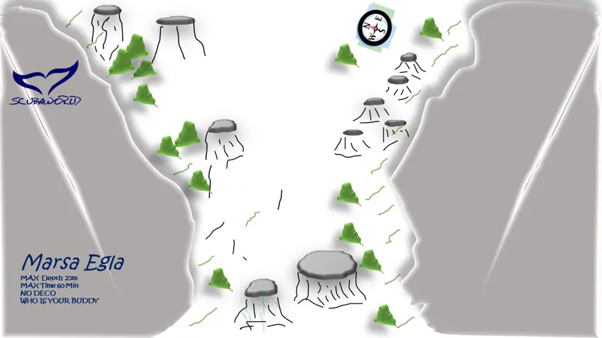 Plongée à Marsa Egla - Découvrez la vie marine tranquille à Marsa Alam