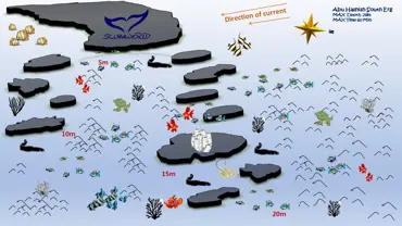 Tauchen in Makadi Bay, Rotes Meer - Scuba World Divers