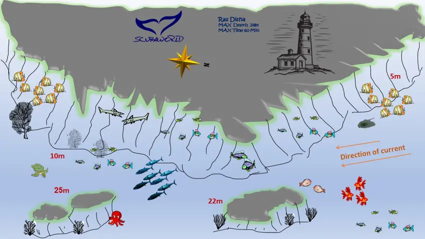 Discover Ras Disha Dive Site in Makadi Bay | Scuba World Divers