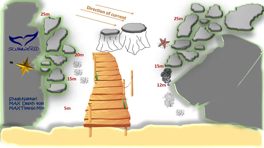 Discover Shaab Nakkari Dive Site in Marsa Alam | Scuba World Divers