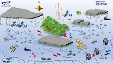 Diving in Soma Bay, Red Sea - Scuba World Divers